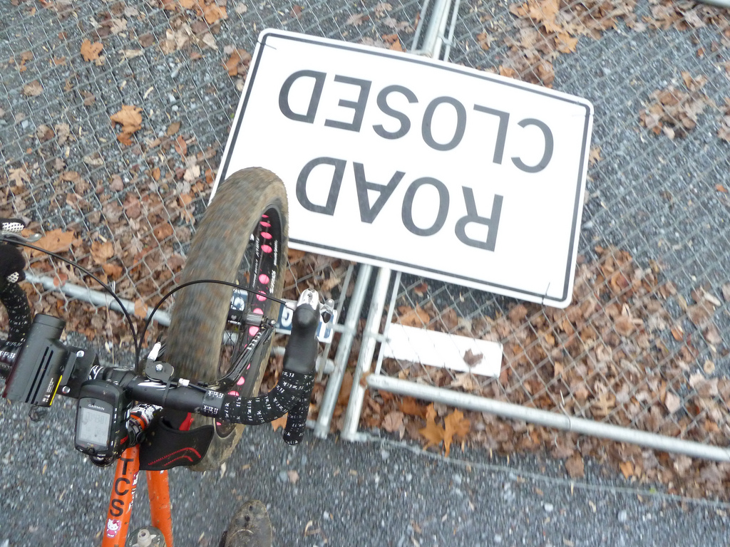 Bikes To Like: Pedro Gringo’s Surly Troll – Chasing Mailboxes