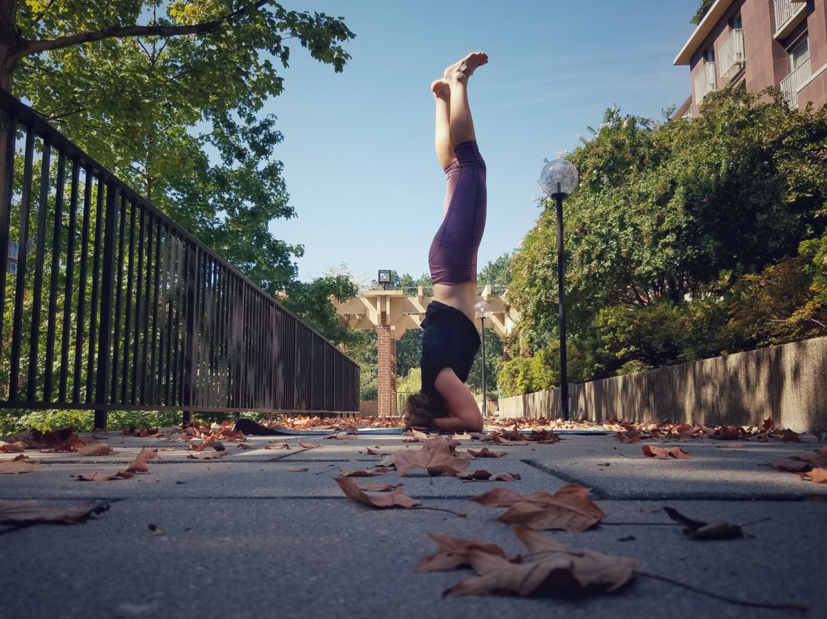 Yoga: It’s Like Riding a Bike – Chasing Mailboxes